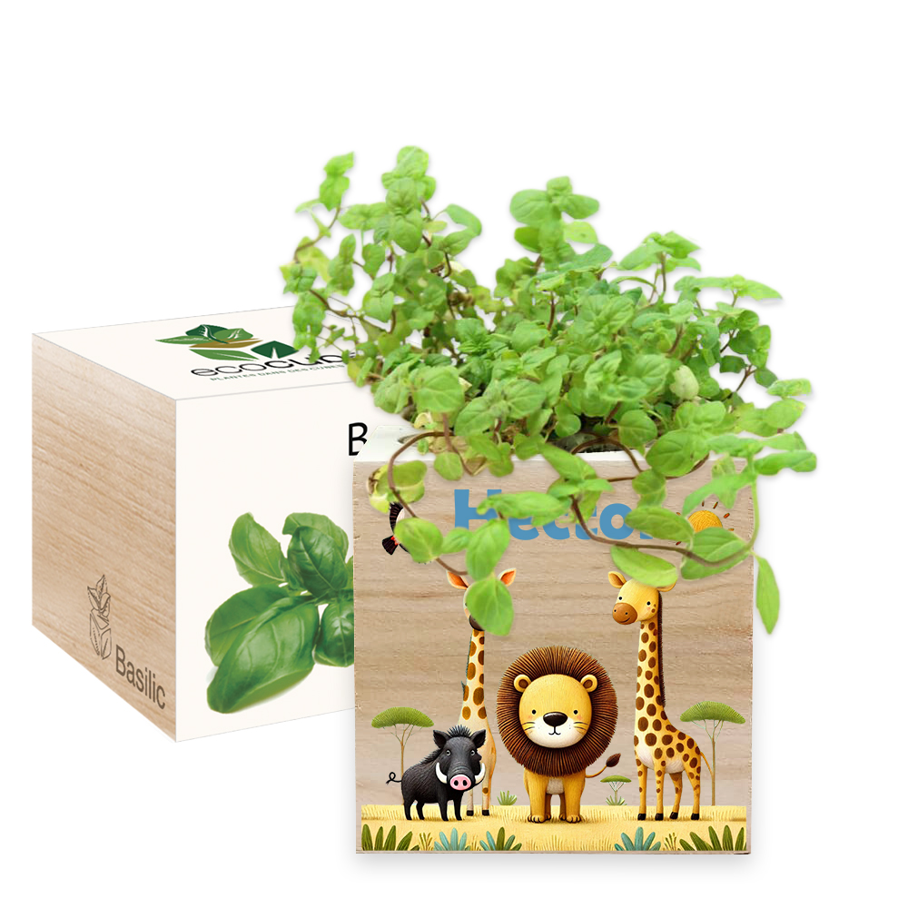 Ecocube bedrukt Safari | Plant personaliseren